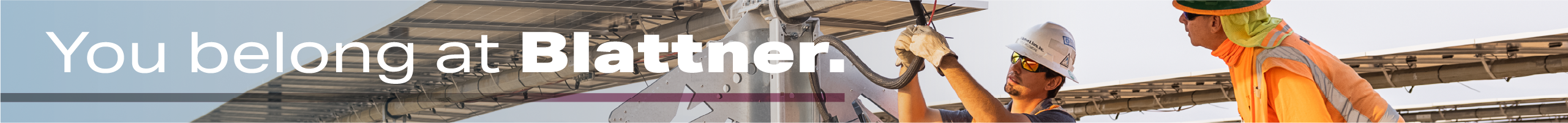 Search for Jobs Future Career Opportunities